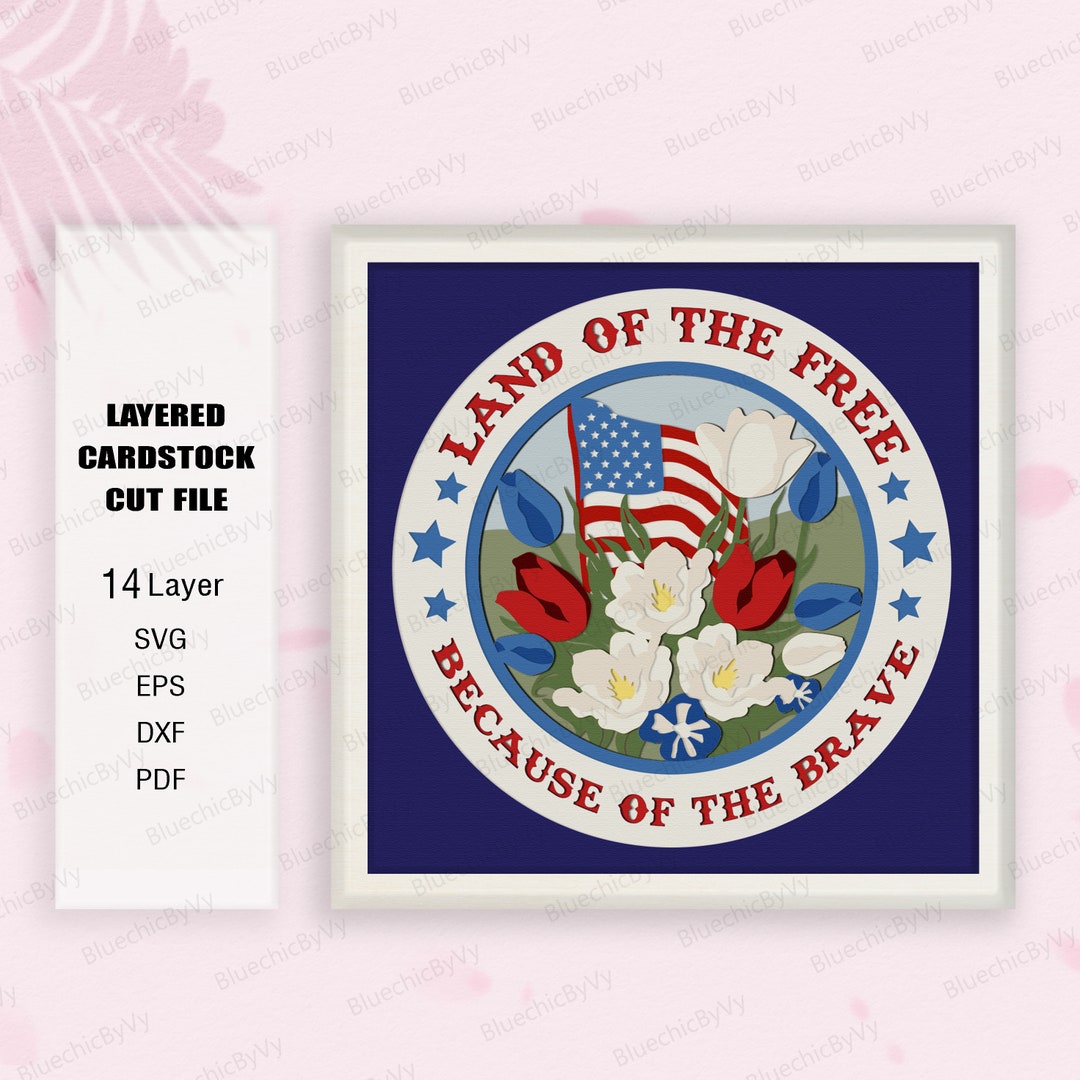 American Flag Shadow Box, Land of the Free Shadow Box, American Flag ...
