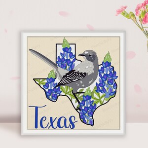 Texas Flower and Bird Shadow Box SVG, Mason Jar 3D Box, Texas State ...