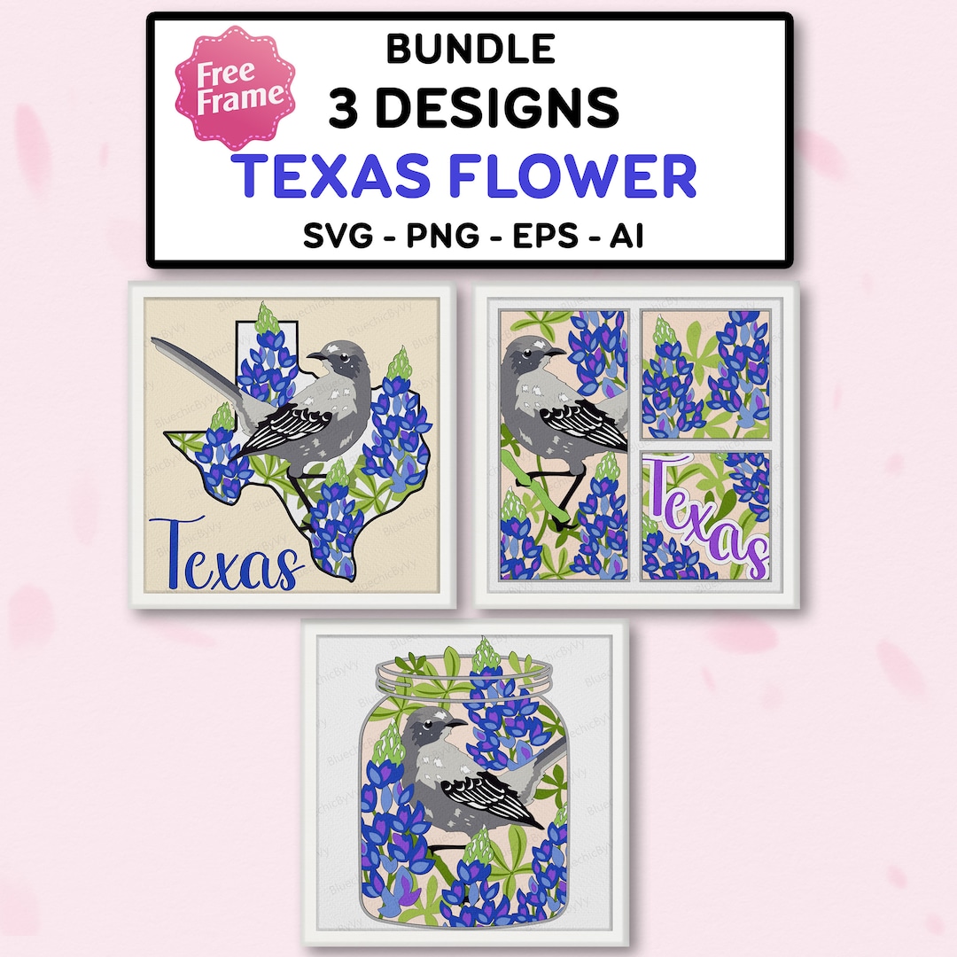 Bundle Texas Flower and Bird Shadow Box SVG, Mason Jar 3D Box,texas ...