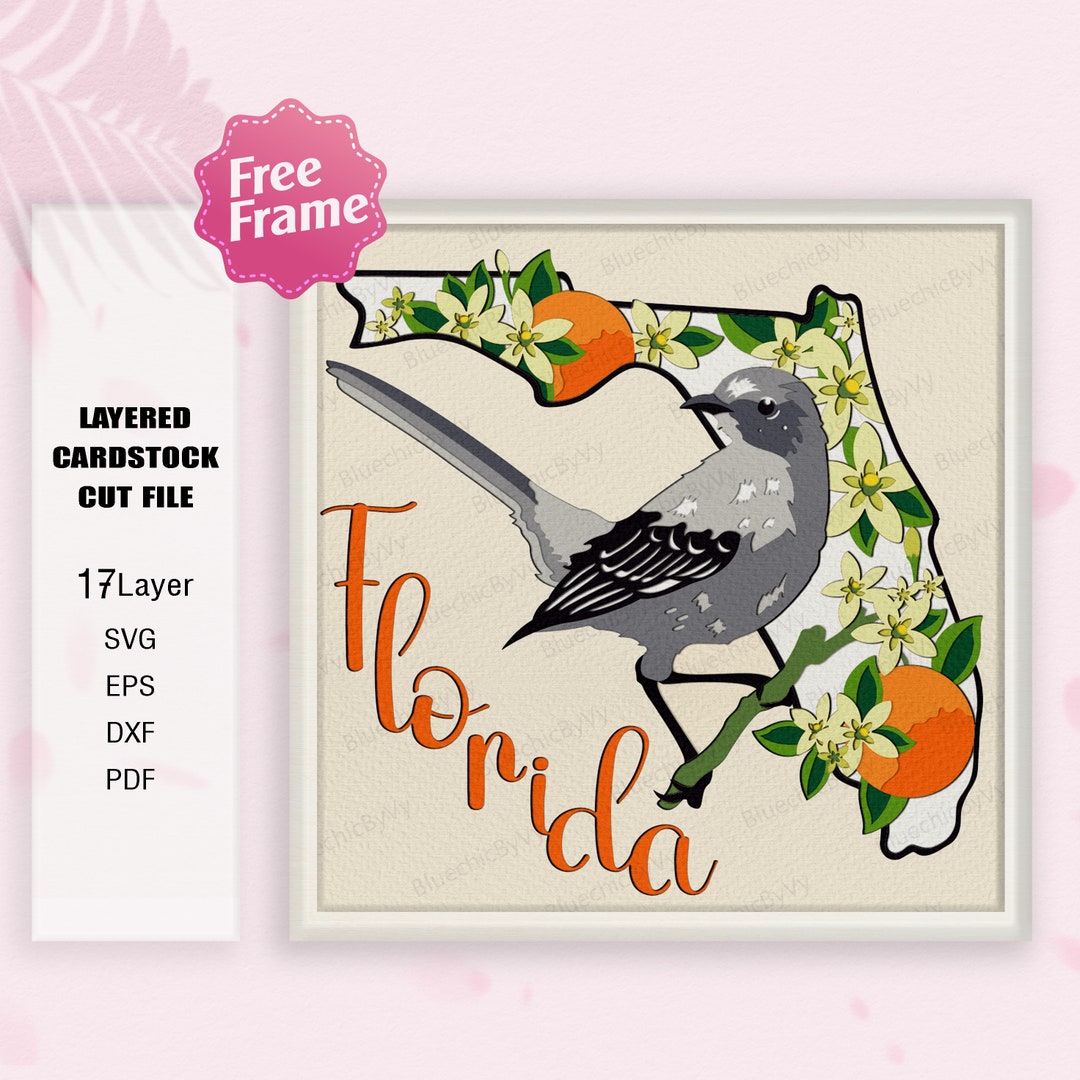 Florida Flower and Bird Shadow Box SVG, Northern Mockingbird 3D Box, 3D ...