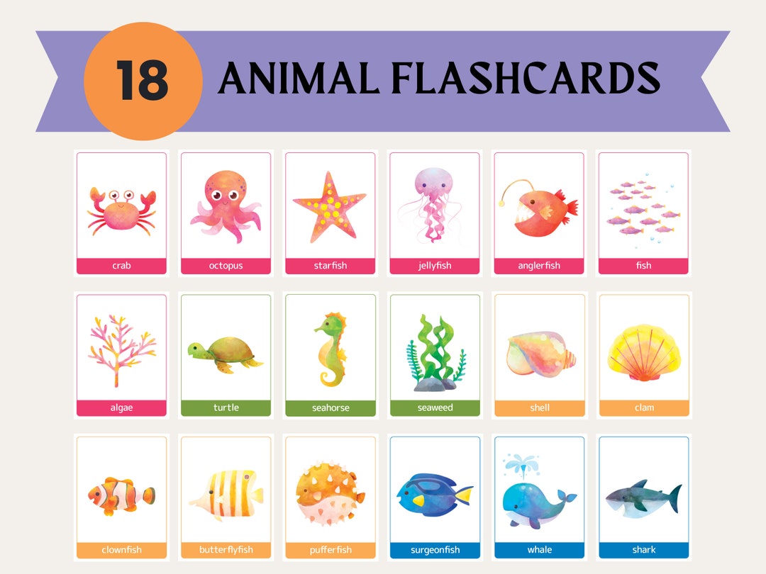 18 Ocean Animal Flashcards, Montessori Materials, Educational Printable ...