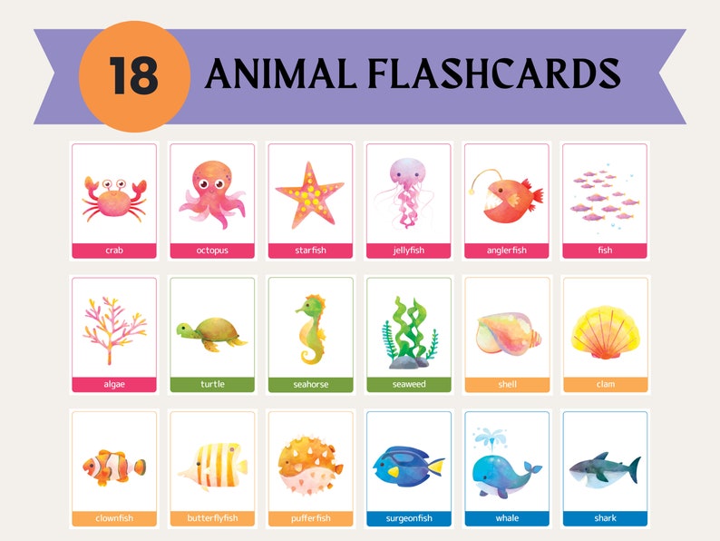 18 Ocean Animal Flashcards, Montessori Materials, Educational Printable ...