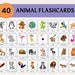 40 Zoo Animal Flashcards, Montessori Materials, Educational Printable ...