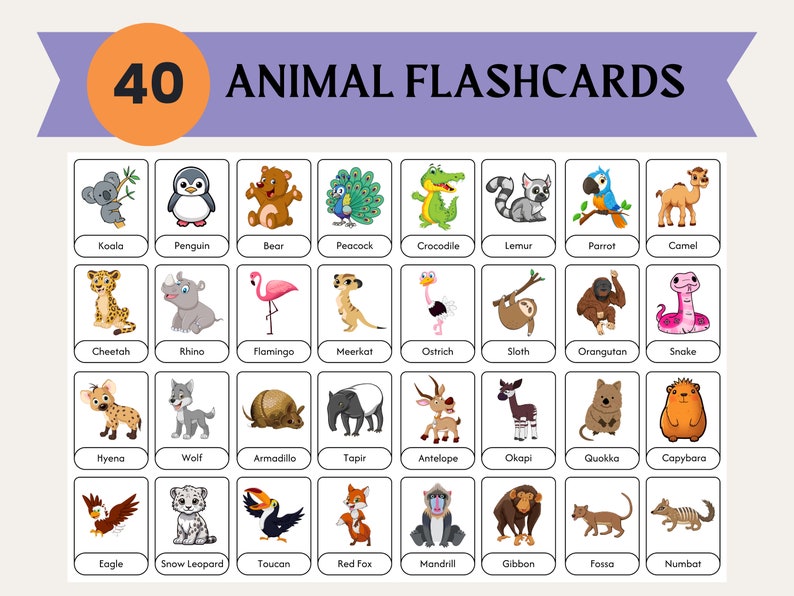40 Zoo Animal Flashcards, Montessori Materials, Educational Printable ...