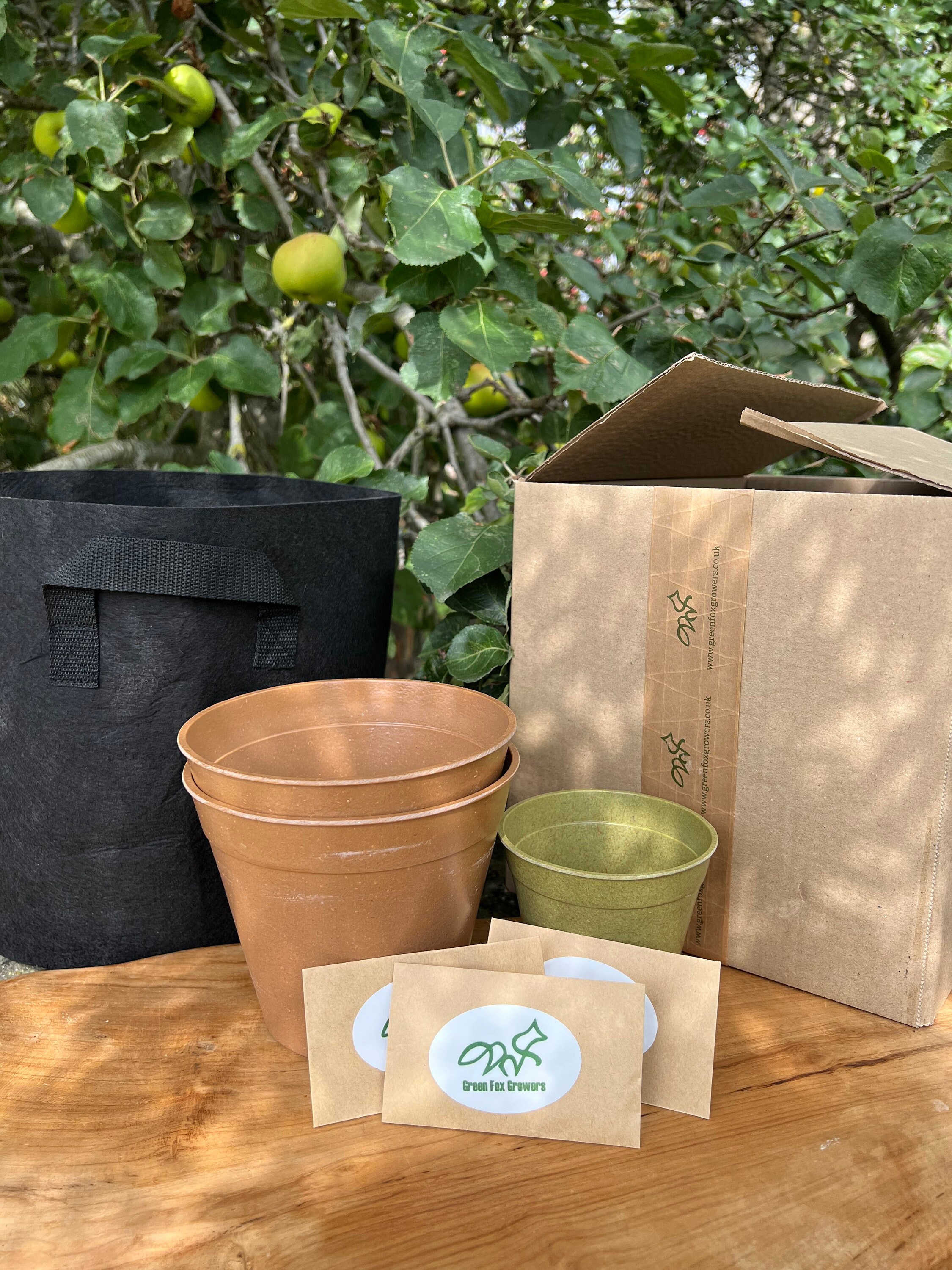 Organic Grow Boxes With Everything You Need to Grow! - Etsy UK