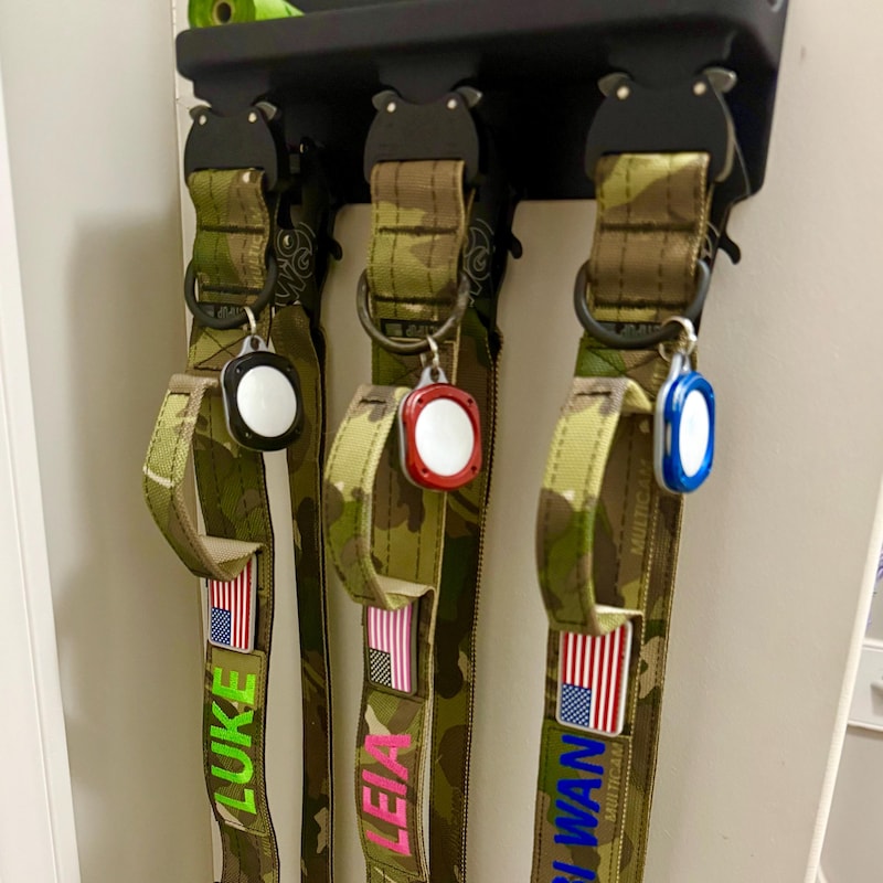 Tactipup Personalized Collar - Etsy