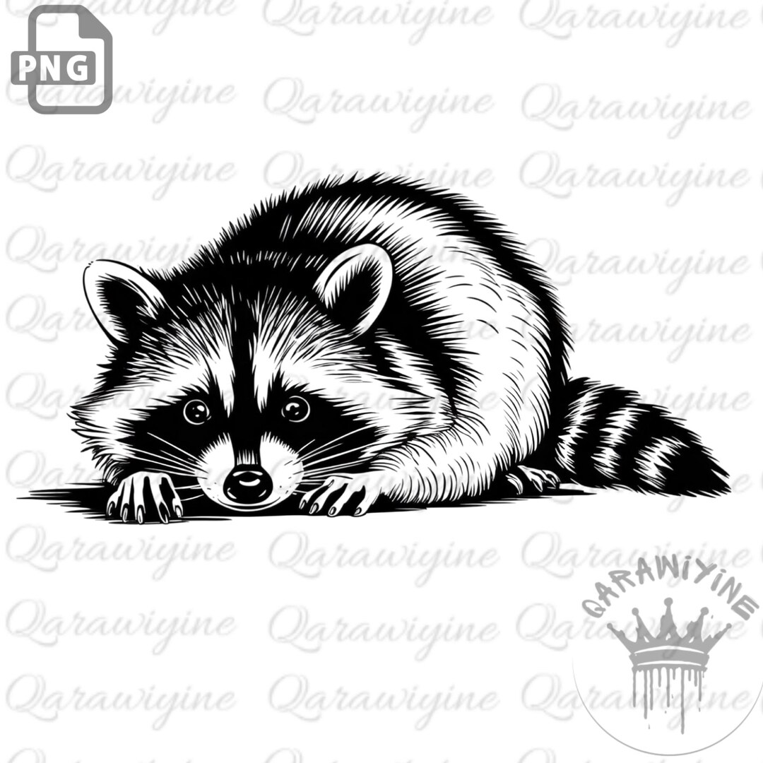 Raccoon PNG – Cute Raccoon Clip Art, Feral Raccoon Vector, Funny ...