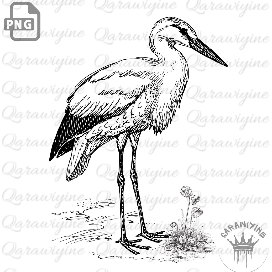 Graceful Stork Clipart PNG | Flying Stork Vector, Cut File for Cricut ...