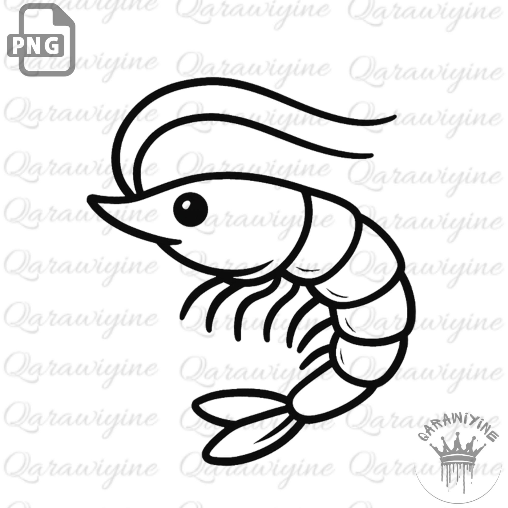 Shrimp Outline Drawing