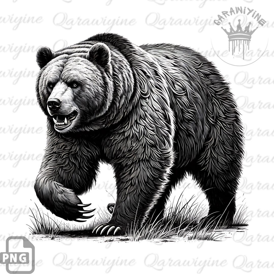 Grizzly Bear PNG Clipart | Fierce Kodiak Bear Art for Stickers, T ...