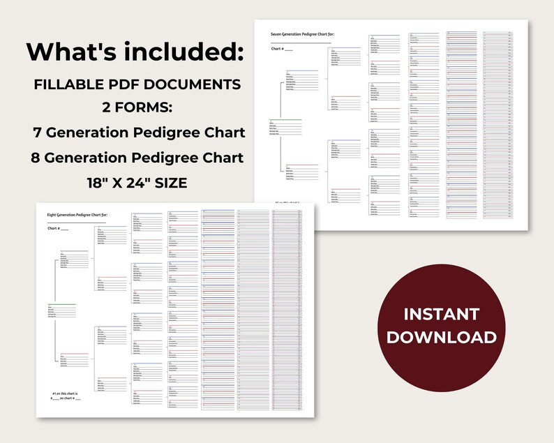 7 & 8 Generation Pedigree Chart Bundle Genealogy Forms Printable ...