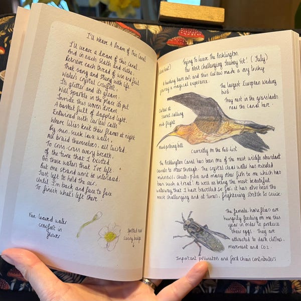 Diary 2025 - Etsy UK