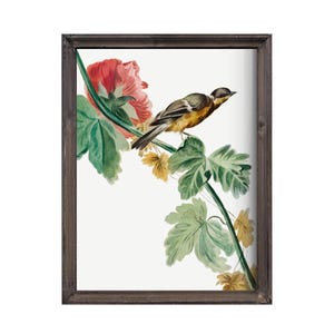 Vintage Botanical Bird Art Print Watercolor Bird & Flower Illustration ...