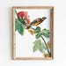 Vintage Botanical Bird Art Print Watercolor Bird & Flower Illustration ...