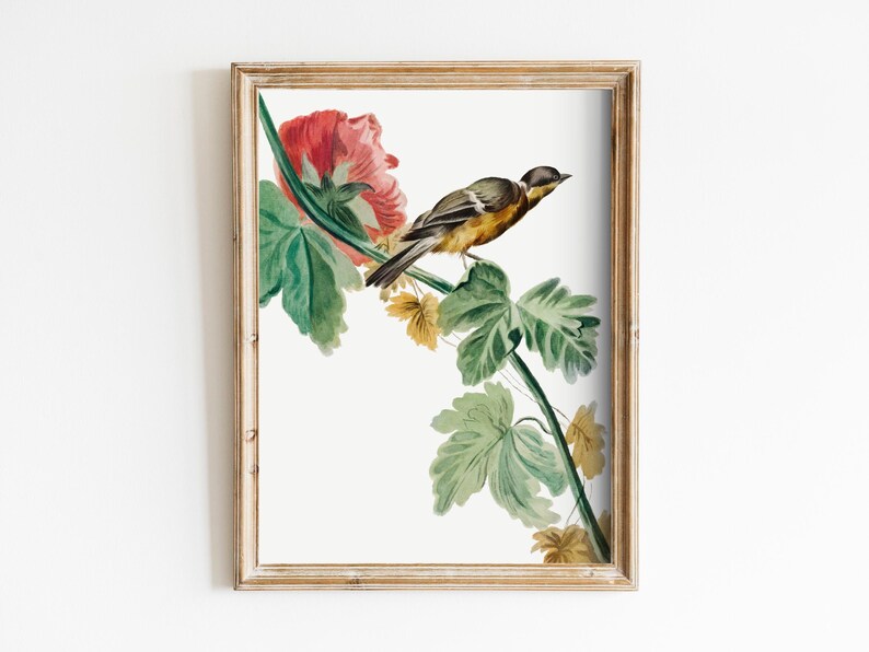 Vintage Botanical Bird Art Print Watercolor Bird & Flower Illustration ...