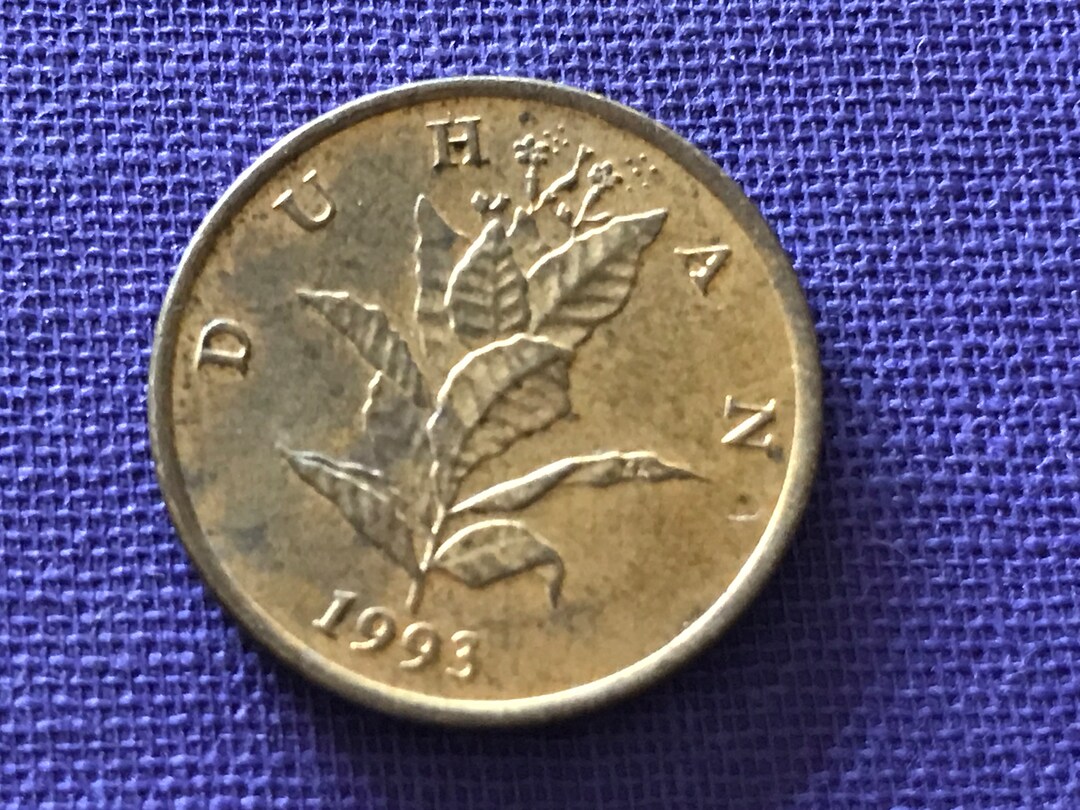 Coins Circulation Coin Croatia 10 Lipa 1993 - Etsy