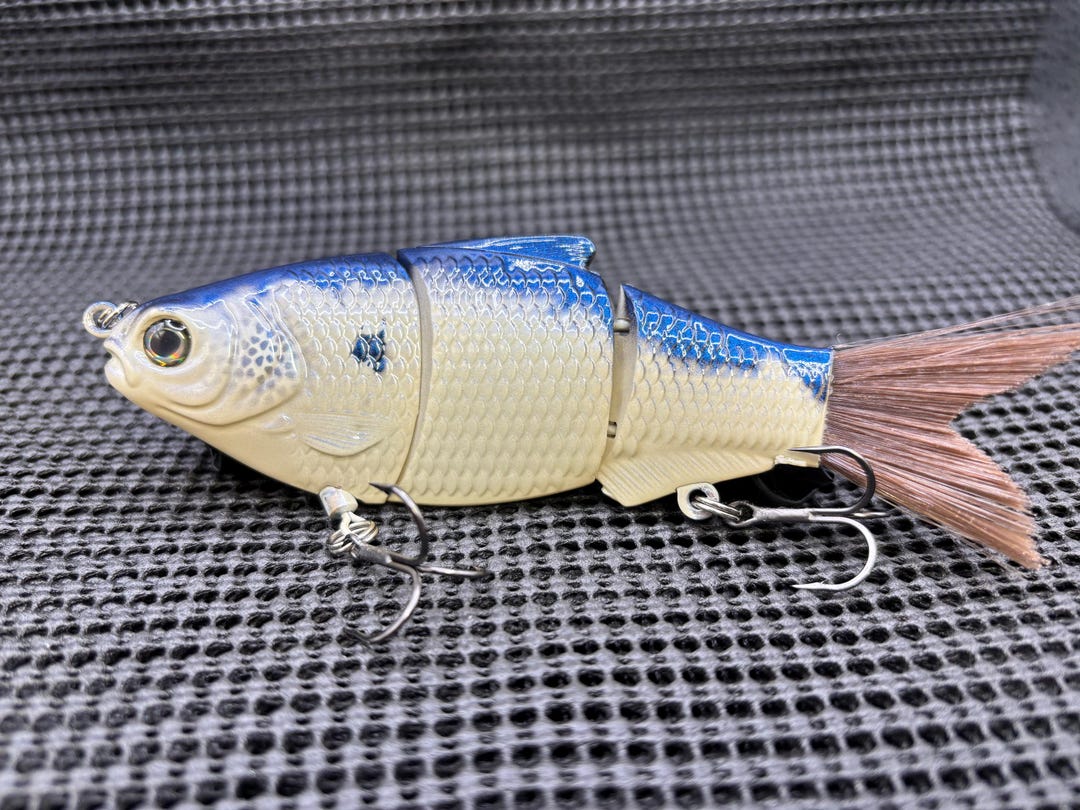 5" Bad Shad in Bone/blue Pattern - Etsy
