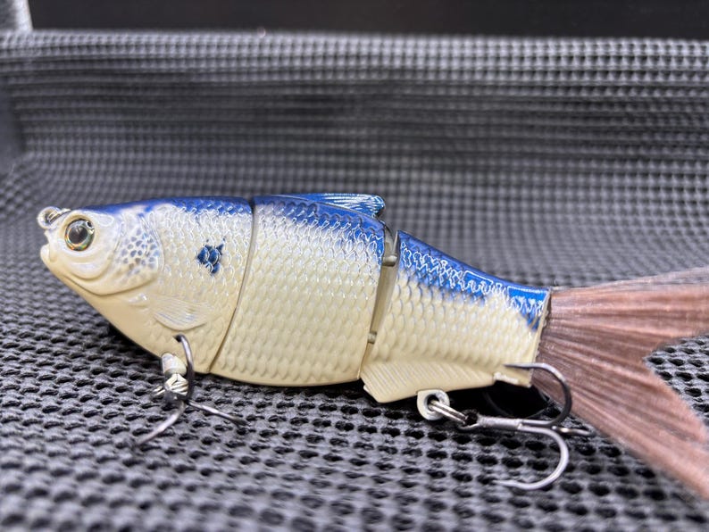 5" Bad Shad in Bone/blue Pattern - Etsy
