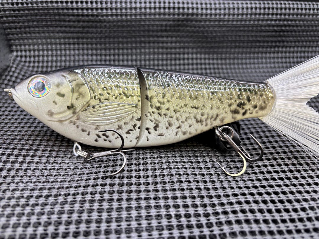 7" Slow Sink Big Belly Shad in My NEW Crappie Pattern - Etsy