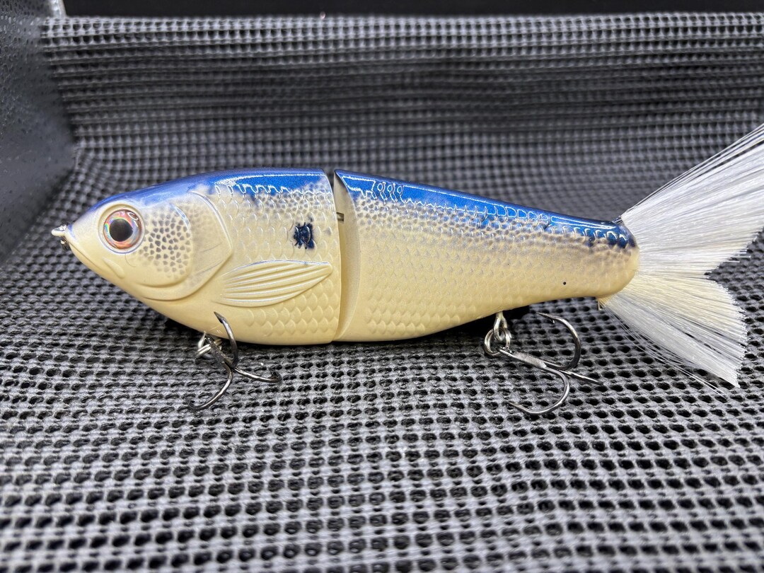 7" Slow Sink Big Belly Shad in My Bone/blue Color - Etsy