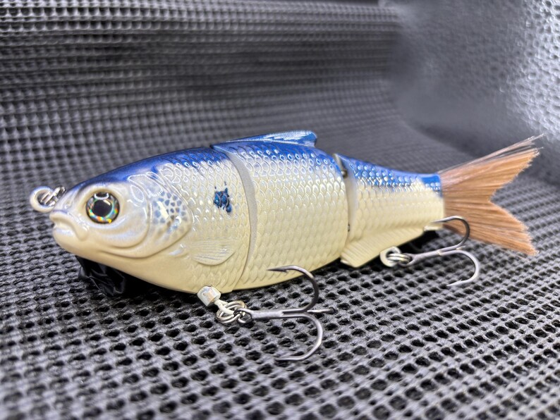 5" Bad Shad in Bone/blue Pattern - Etsy