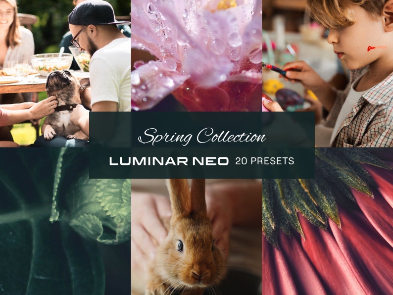Spring Luminar Presets Collection - Etsy