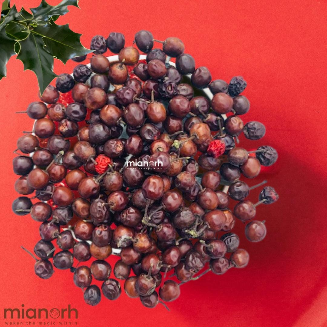 Dried Holly Berries for Ritual, Altar & Spell Work, Protection and ...