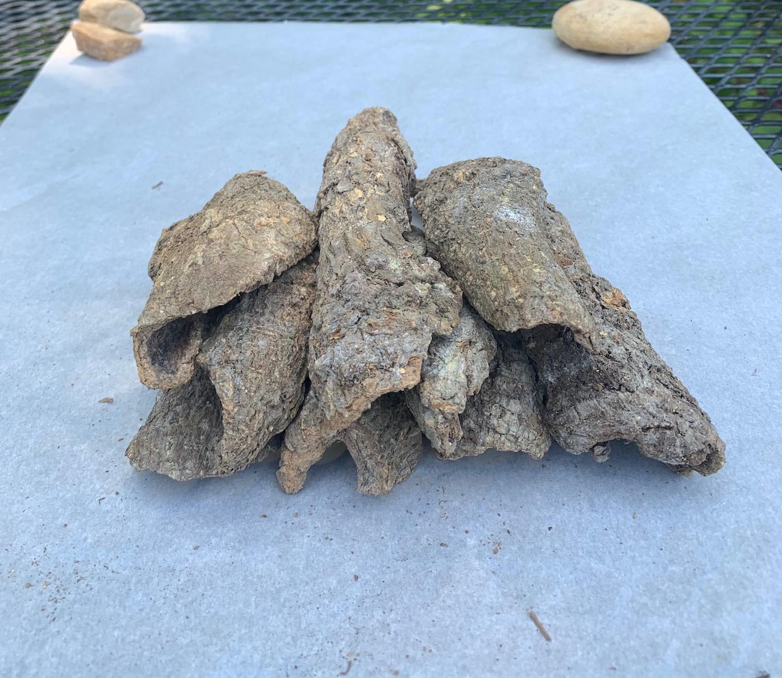Nyame Dua — God’s Tree (alstonia Boonei) | Sacred Bark of Healing ...