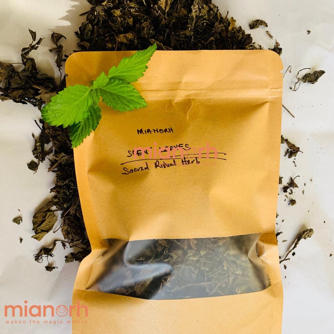 Dried Scent Leaves (efinrin / Nchuawu / Nunum) – Spiritual Cleansing ...