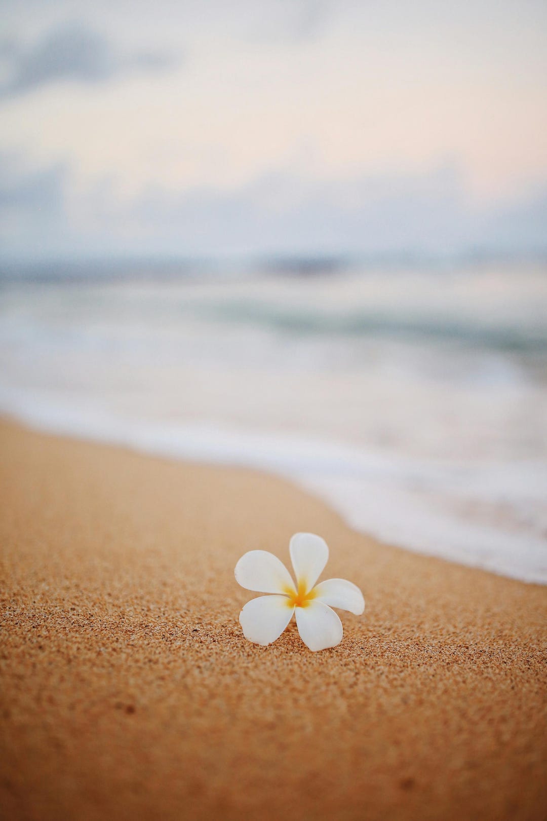 Ocean Ritual Sand – Raw Sacred Sand for Altars, Spiritual Grounding ...