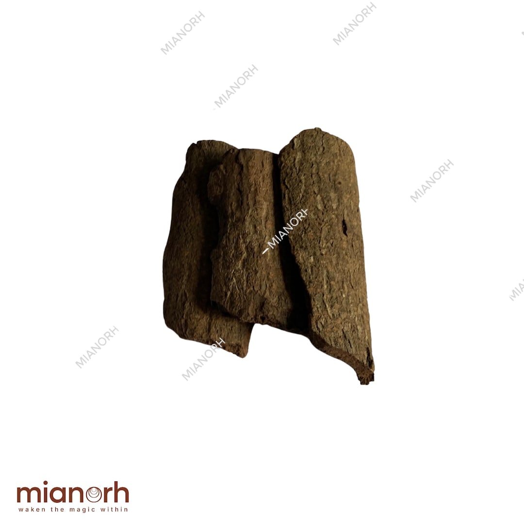 Igi Nla Bark | Asorin Tree Bark | Mysterious Tree of Life Bark | Plank ...