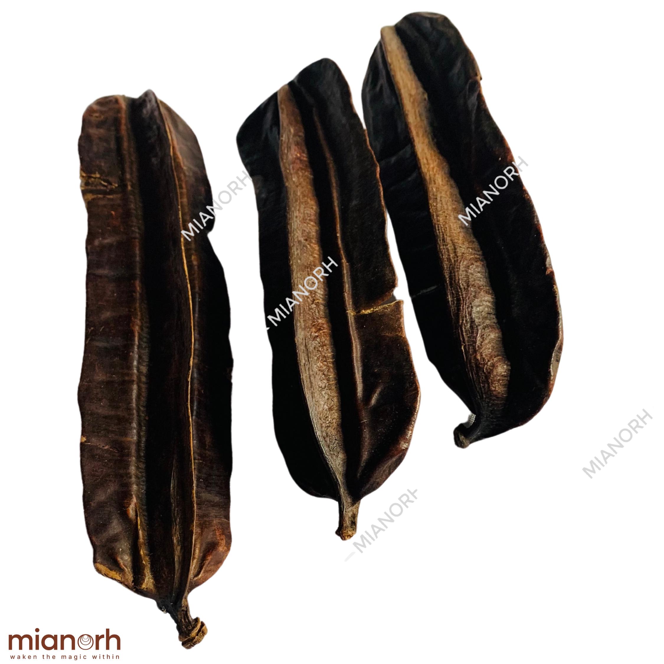 Whole Prekese Pods – Aidan Fruit, Spiritual Cleansing & Rituals - Etsy