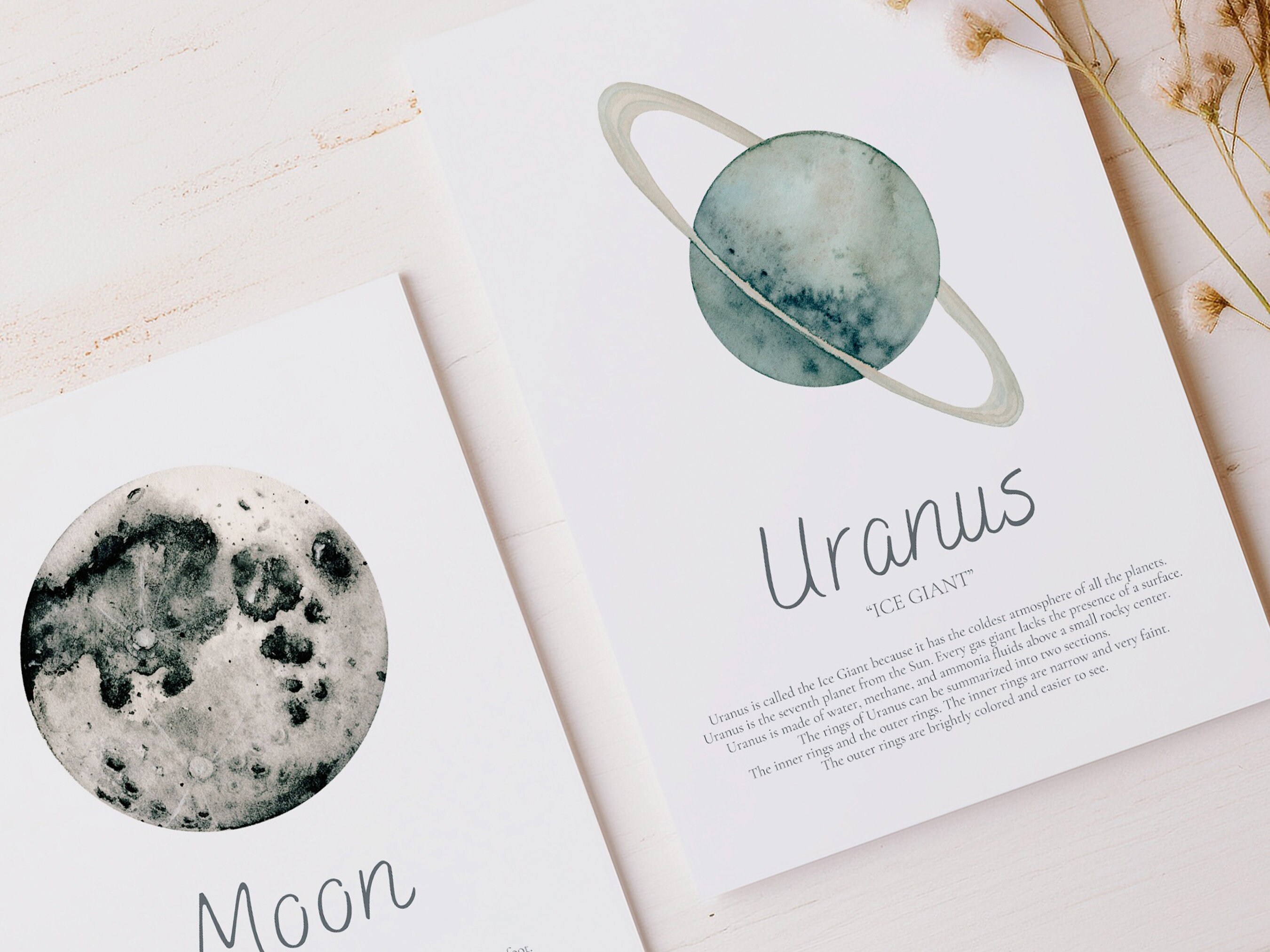 Illustrated Solar System Flash Cards - Solar System Cards - Homeschool ...