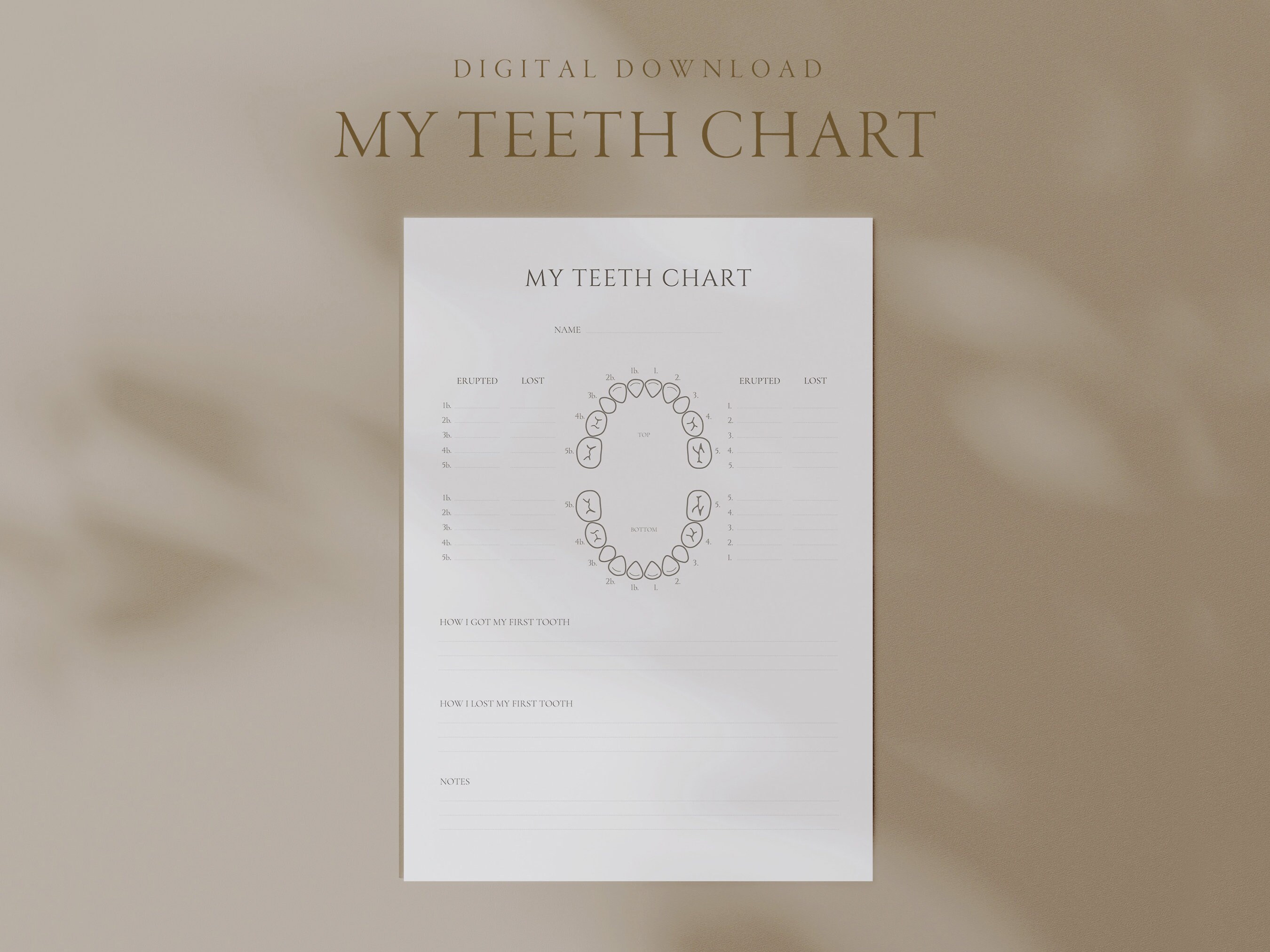 BABY Tooth Chart, Printable Tooth Eruption Chart & Lost Tooth Chart ...