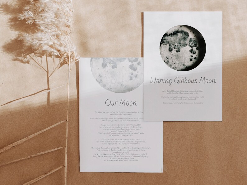 Moon Phases Flash Cards - Lunar Phases - PDF - DIGITAL - Moon Facts ...