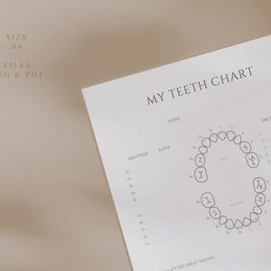 Baby Tooth Chart: Printable Eruption & Lost Tooth Tracker (digital ...