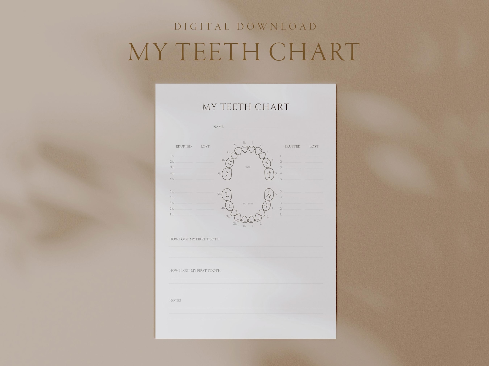 Baby Tooth Chart: Printable Eruption & Lost Tooth Tracker (digital ...