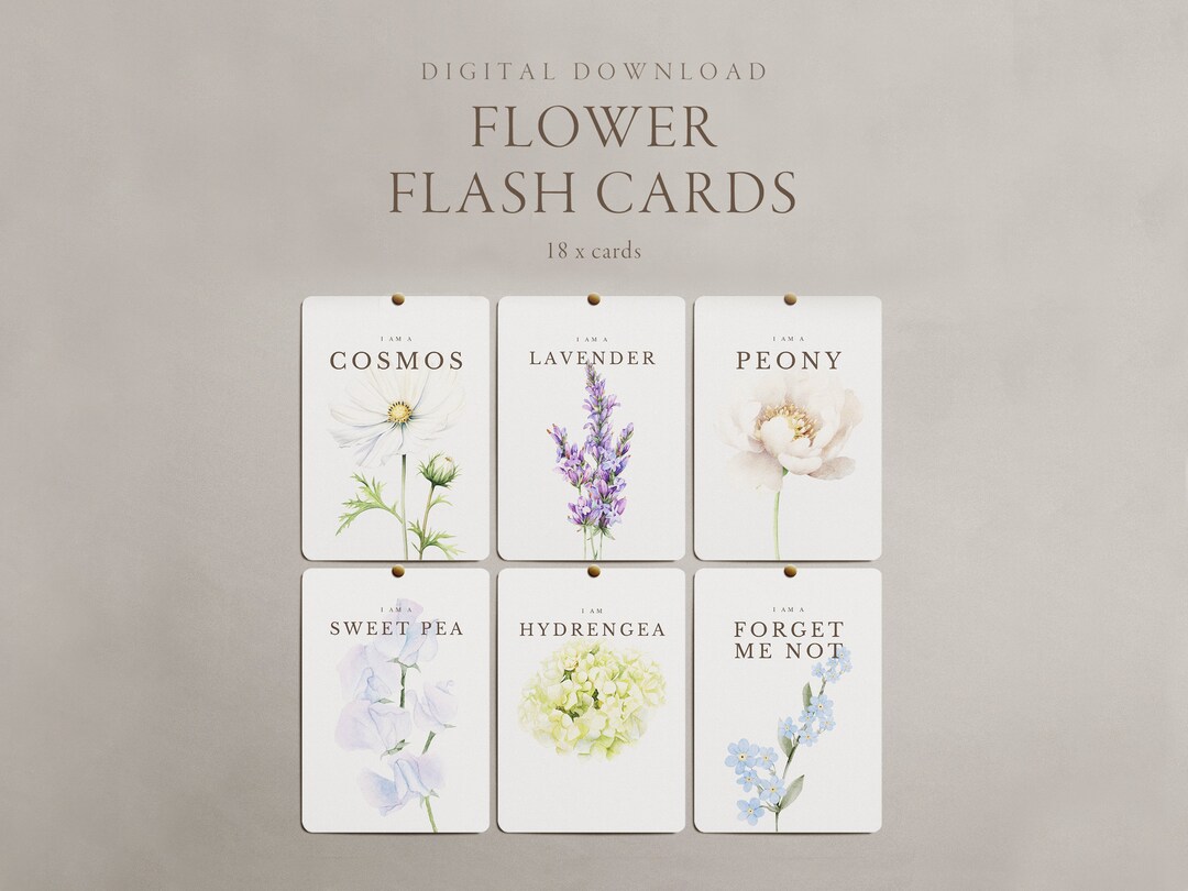Educational Flower Flash Cards Digital Download for Kids - Montessori ...