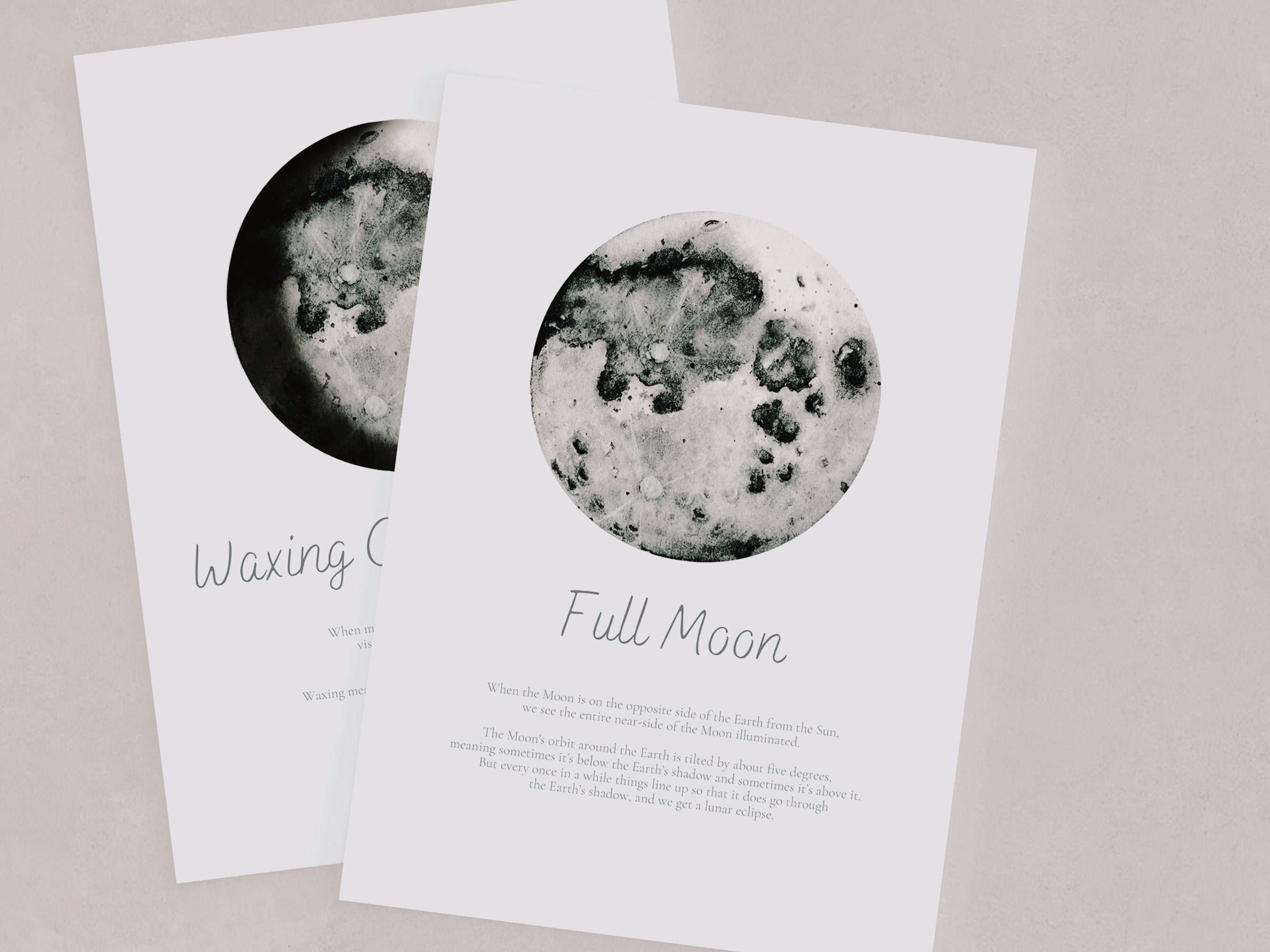 Moon Phases Flash Cards Lunar Phases PDF DIGITAL Moon Facts Science ...