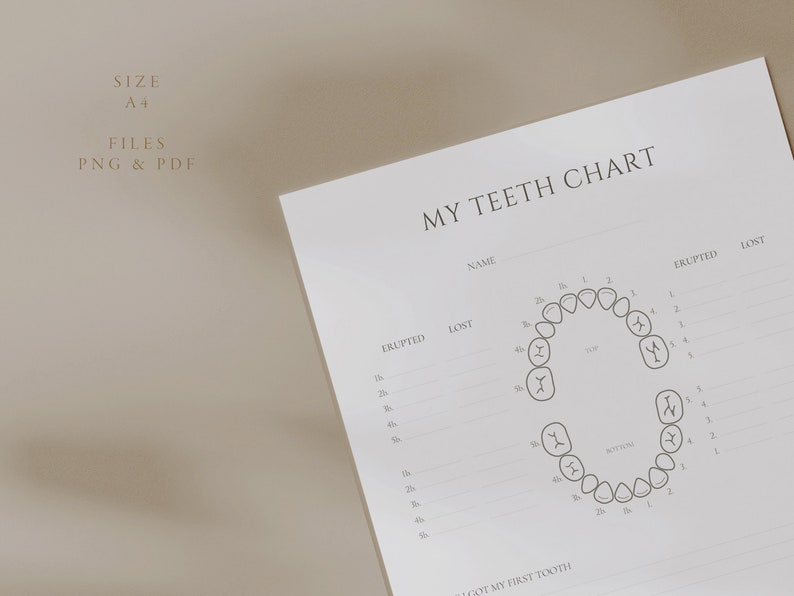 BABY Tooth Chart, Printable Tooth Eruption Chart & Lost Tooth Chart ...
