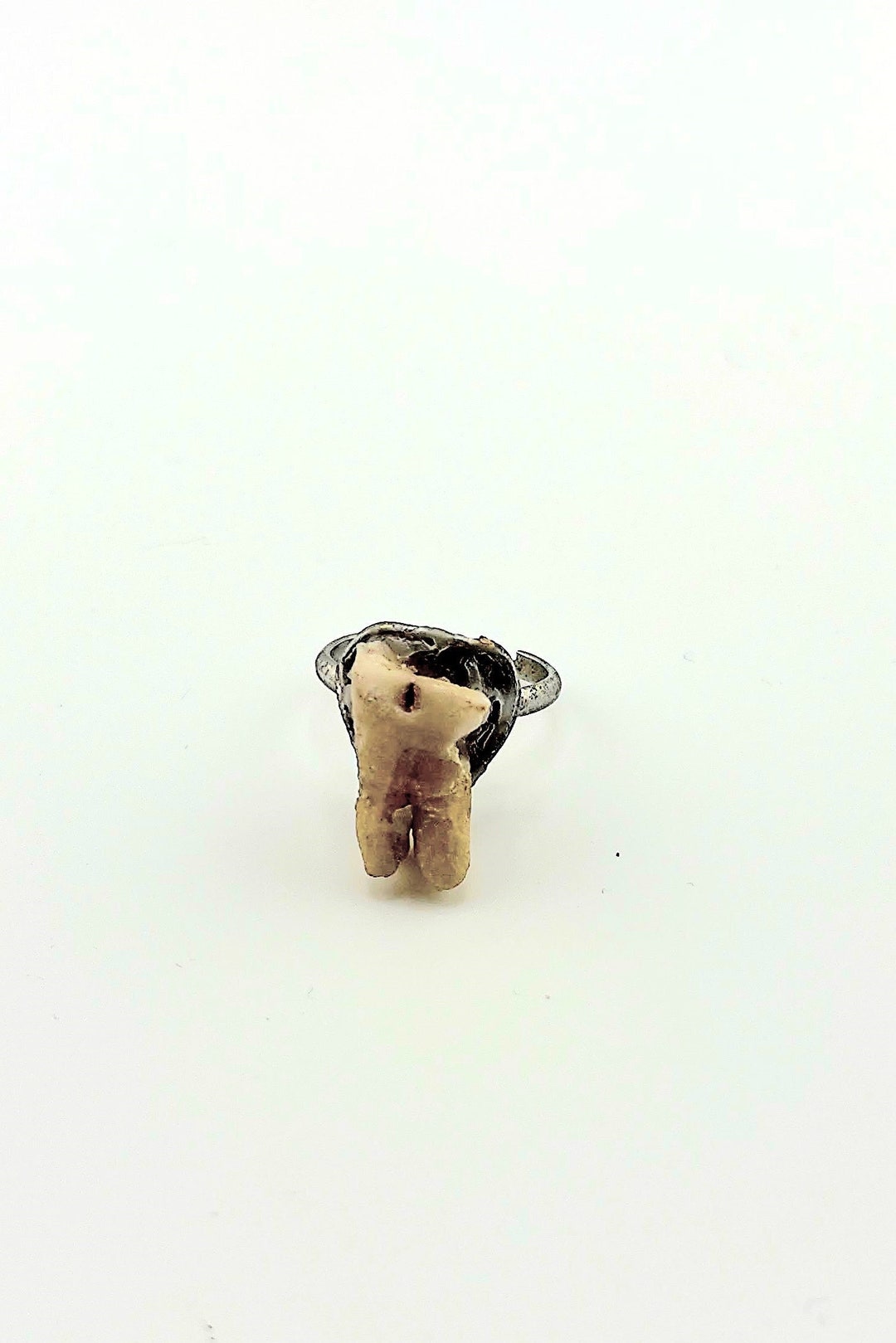 Human Tooth Rings - Etsy