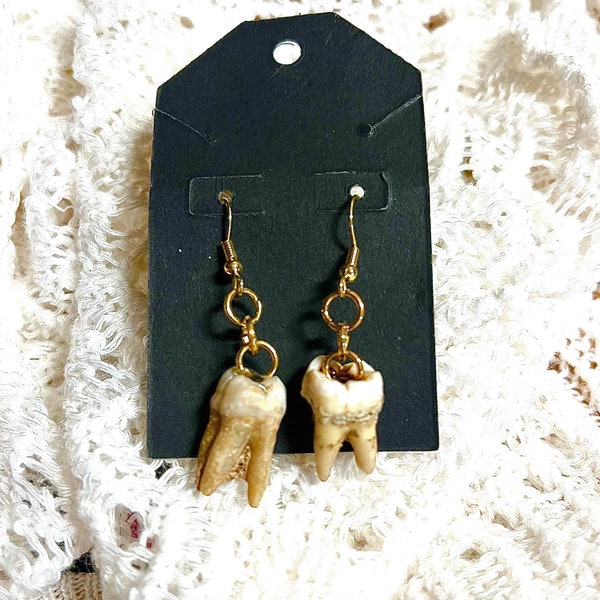 Human Teeth Jewelry - Etsy UK