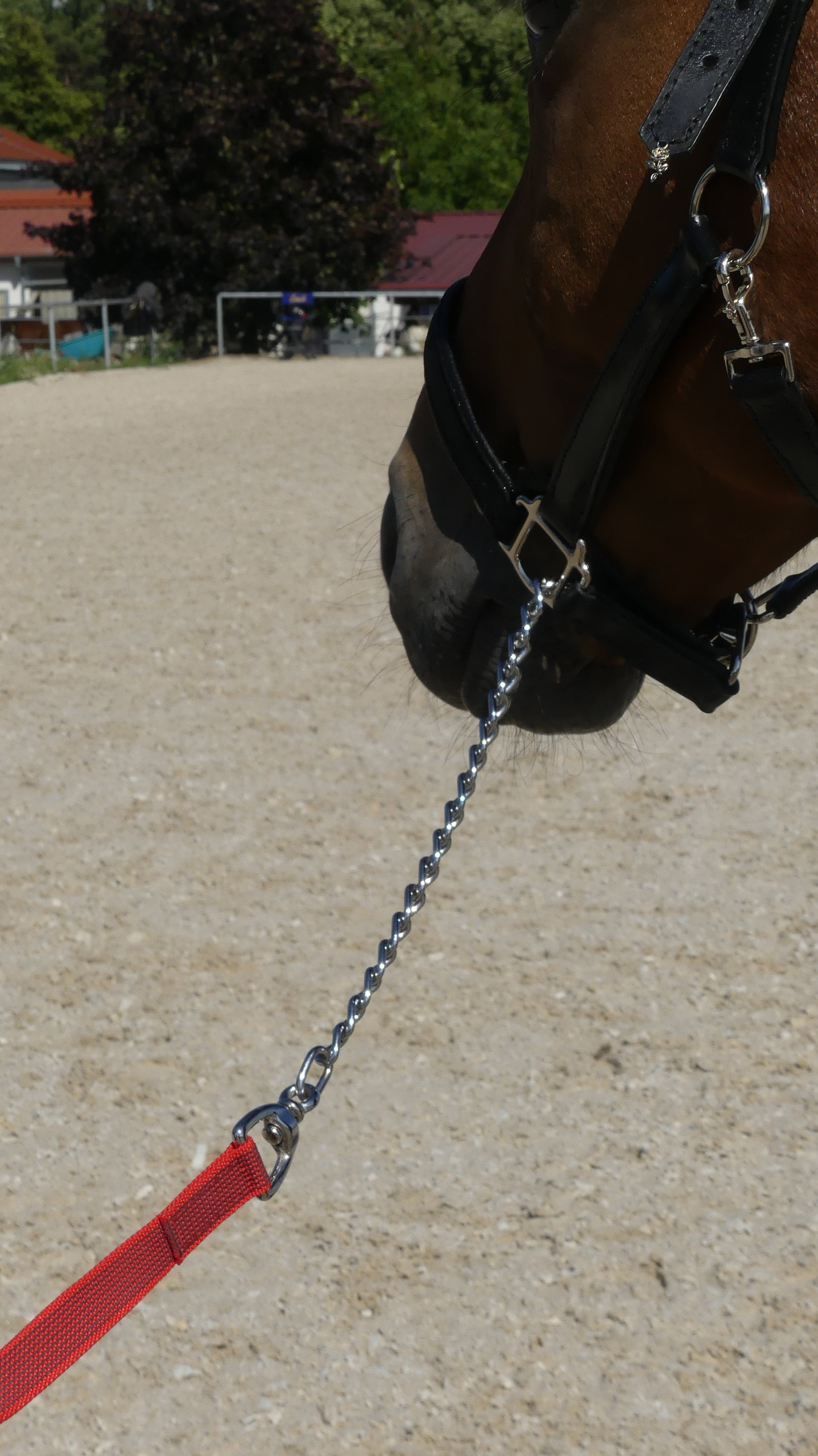 Lead Chain Stallion Chain Lead Horse Non-slip Red With Horse Trailer - Etsy