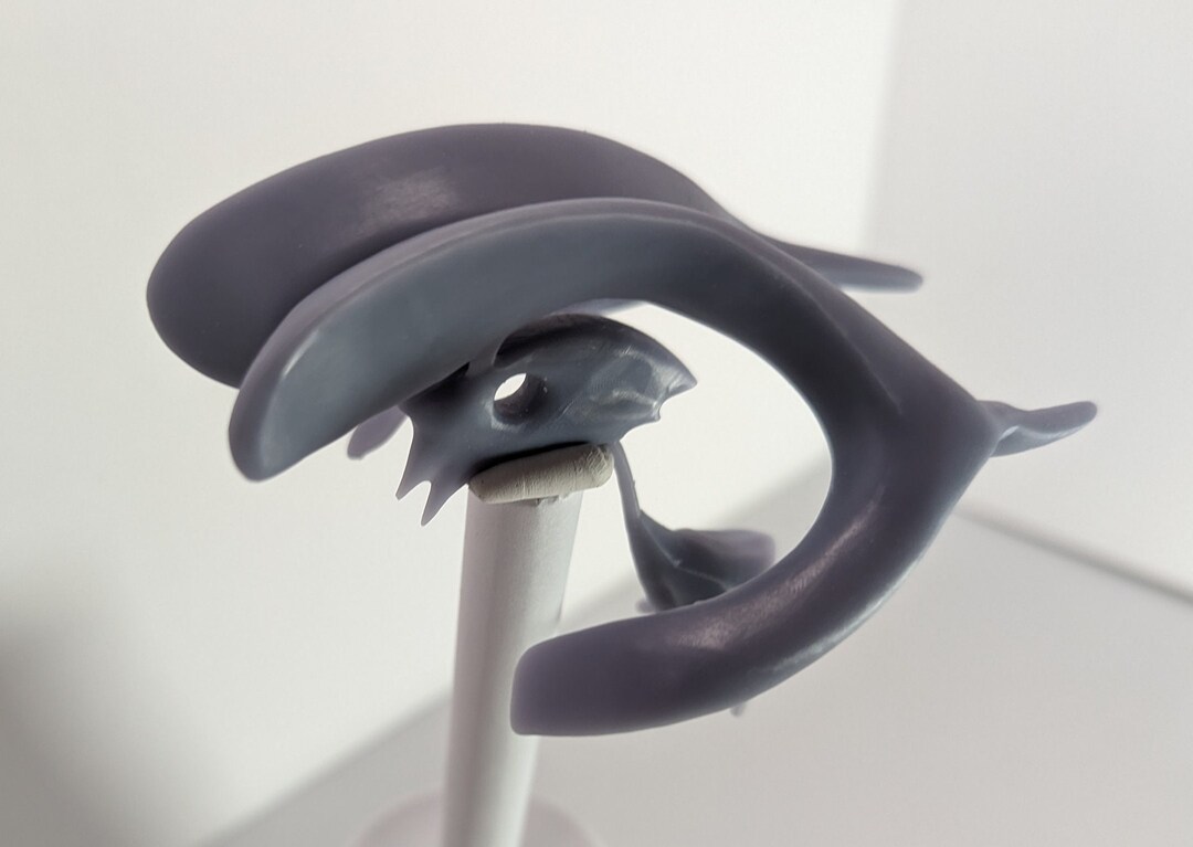 Human Brain Ventricle Model - Etsy