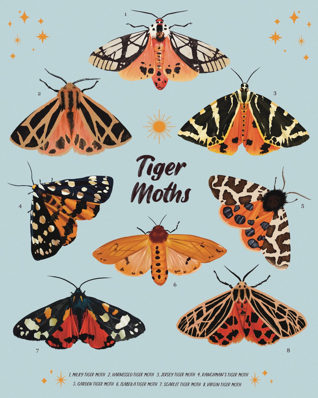 Tiger Moths Print - Etsy