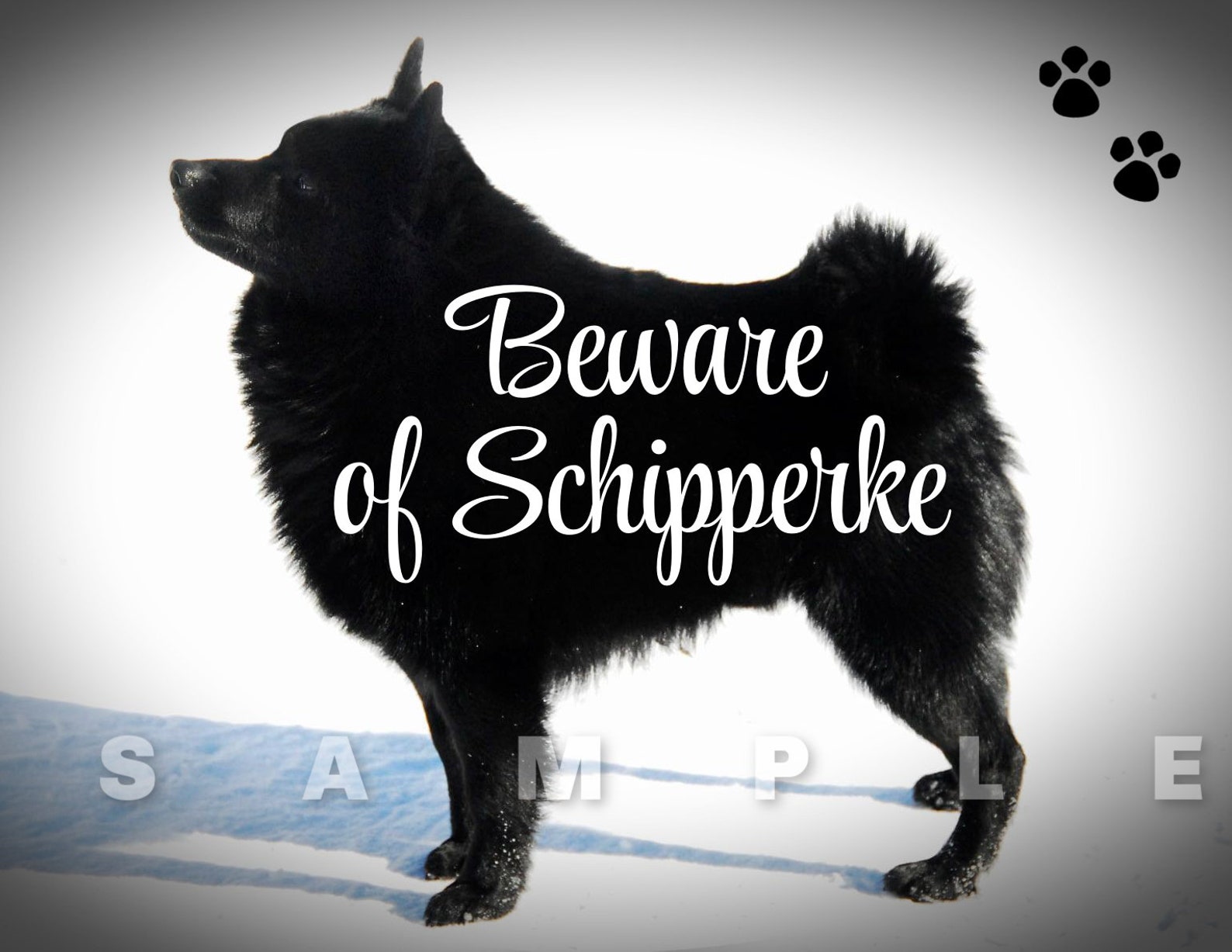 Beware of Schipperke Sign, Beware of Dog Sign, Schipperke, Black Dog ...