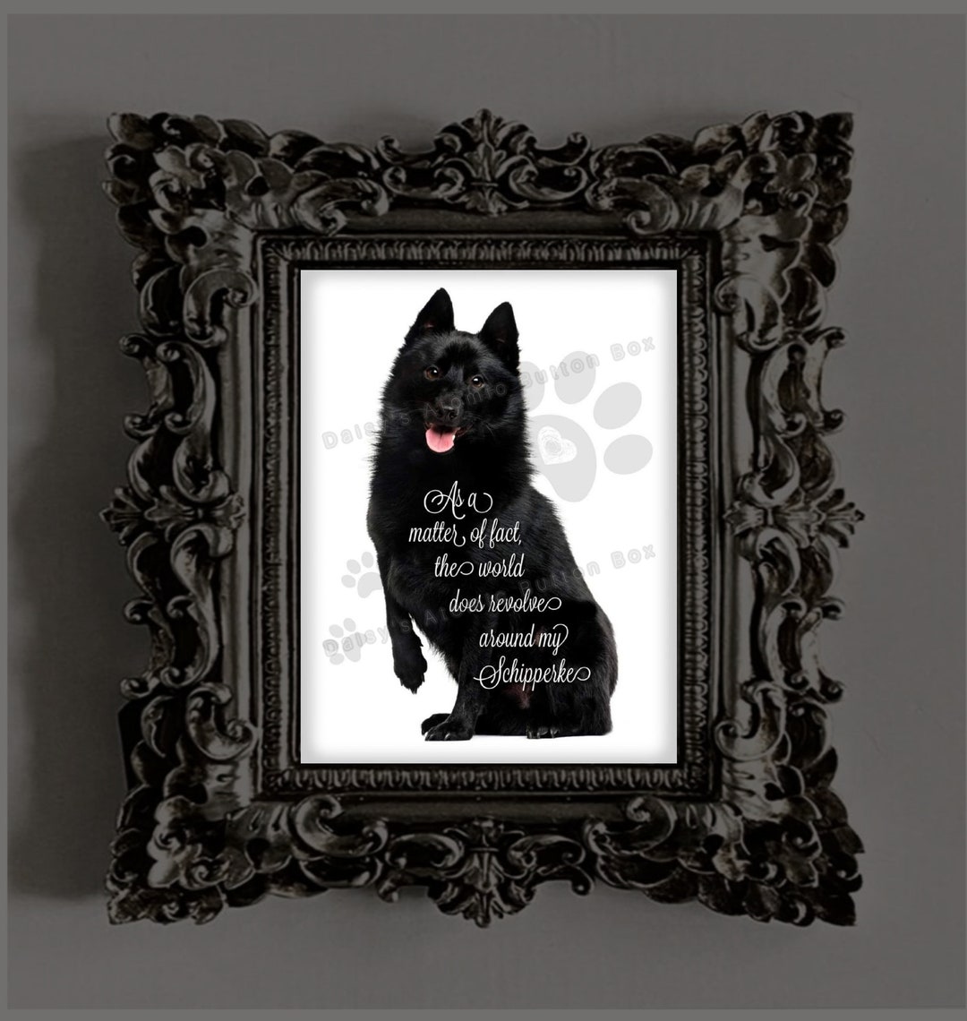 The World Revolves Around My Schipperke Wall Art, Ready to Frame, Sign ...