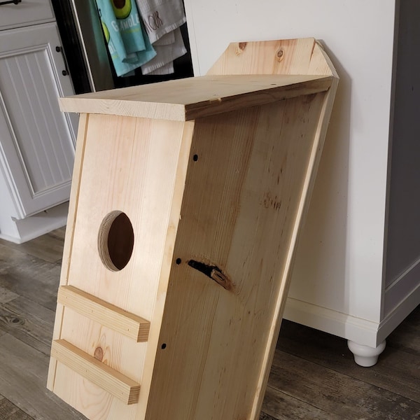 Barred Owl Box - Etsy