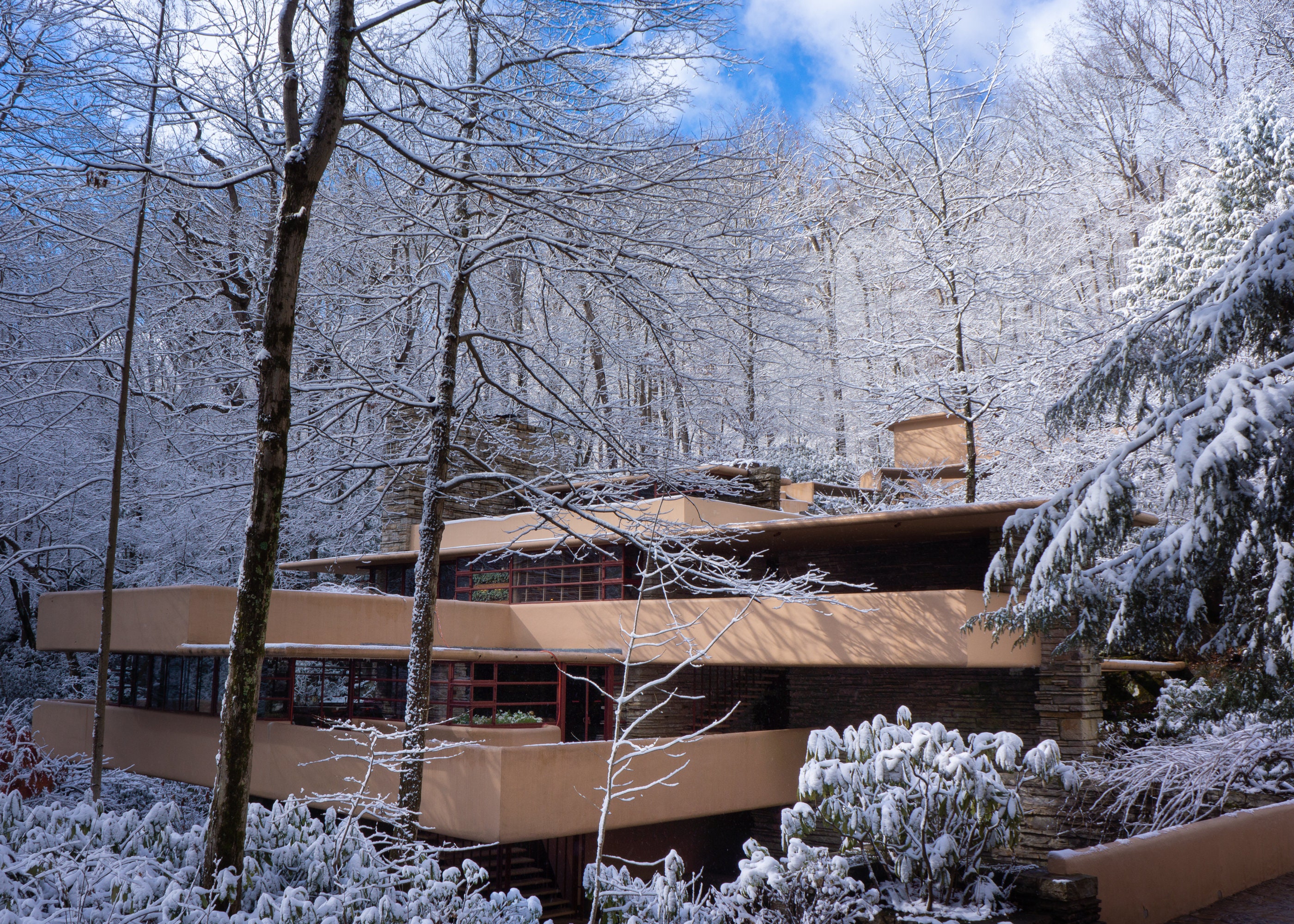 Fallingwater Winter