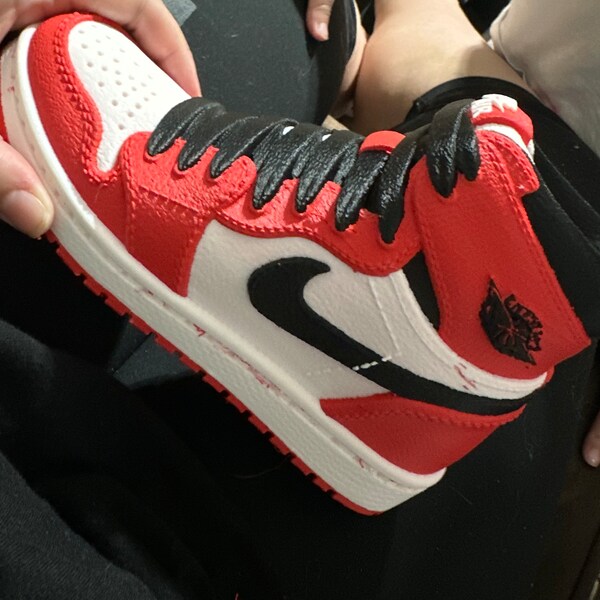 3d Printed Air Jordan - Etsy